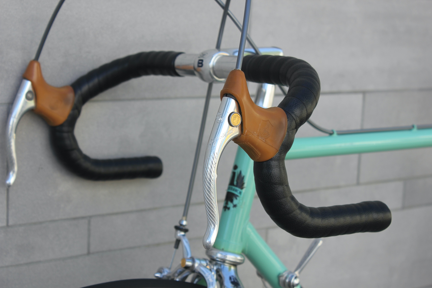 Bianchi Specialissima SL Campagnolo 50th, 3ttt, Mavic GP4 ...